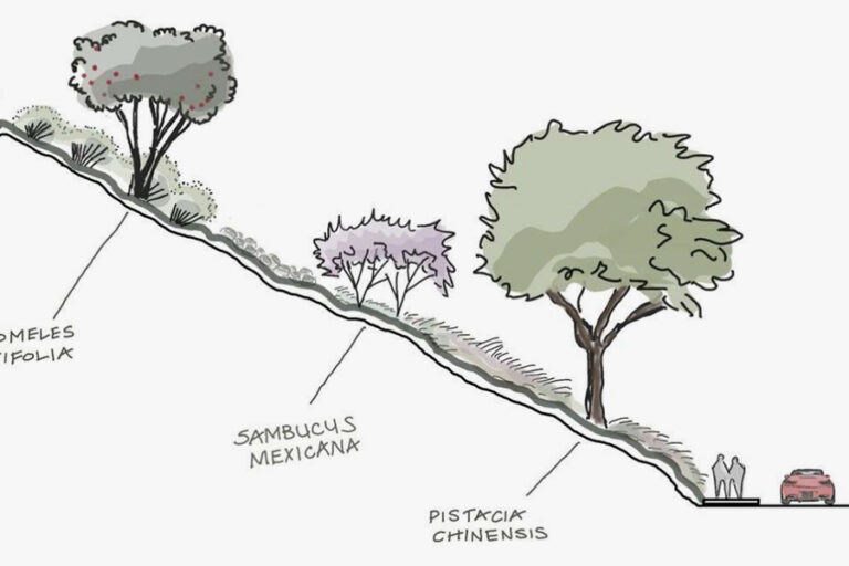 Slope Restoration – UCLA Extension Landscape Architecture 2022 Student Show